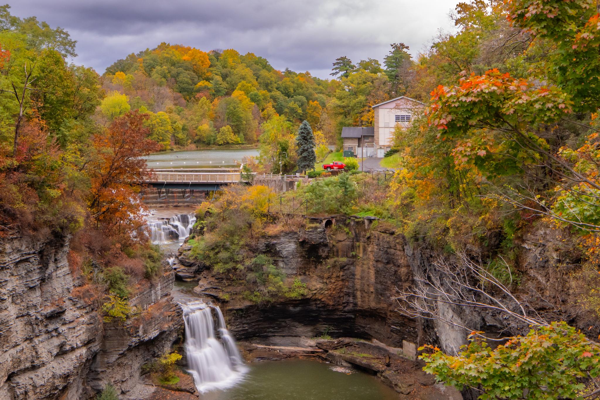 Middle School Summer Enrichment Programs at Cornell University | Summer ...